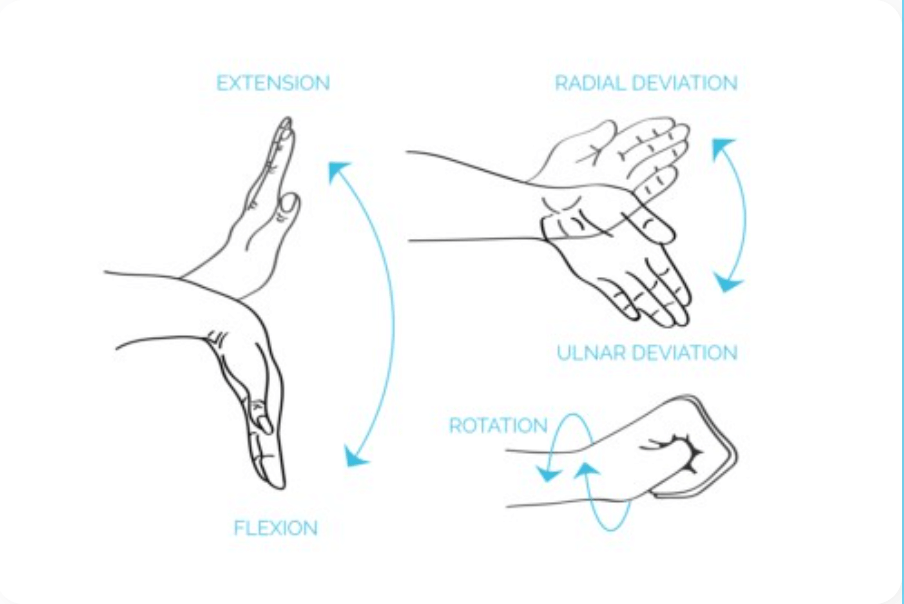 Learning Center - HackMotion