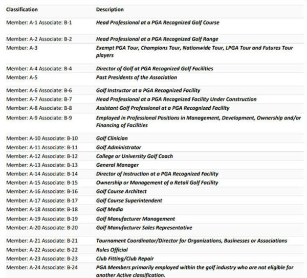 Becoming a Professional Golfer (Tough, Yet Within Reach)